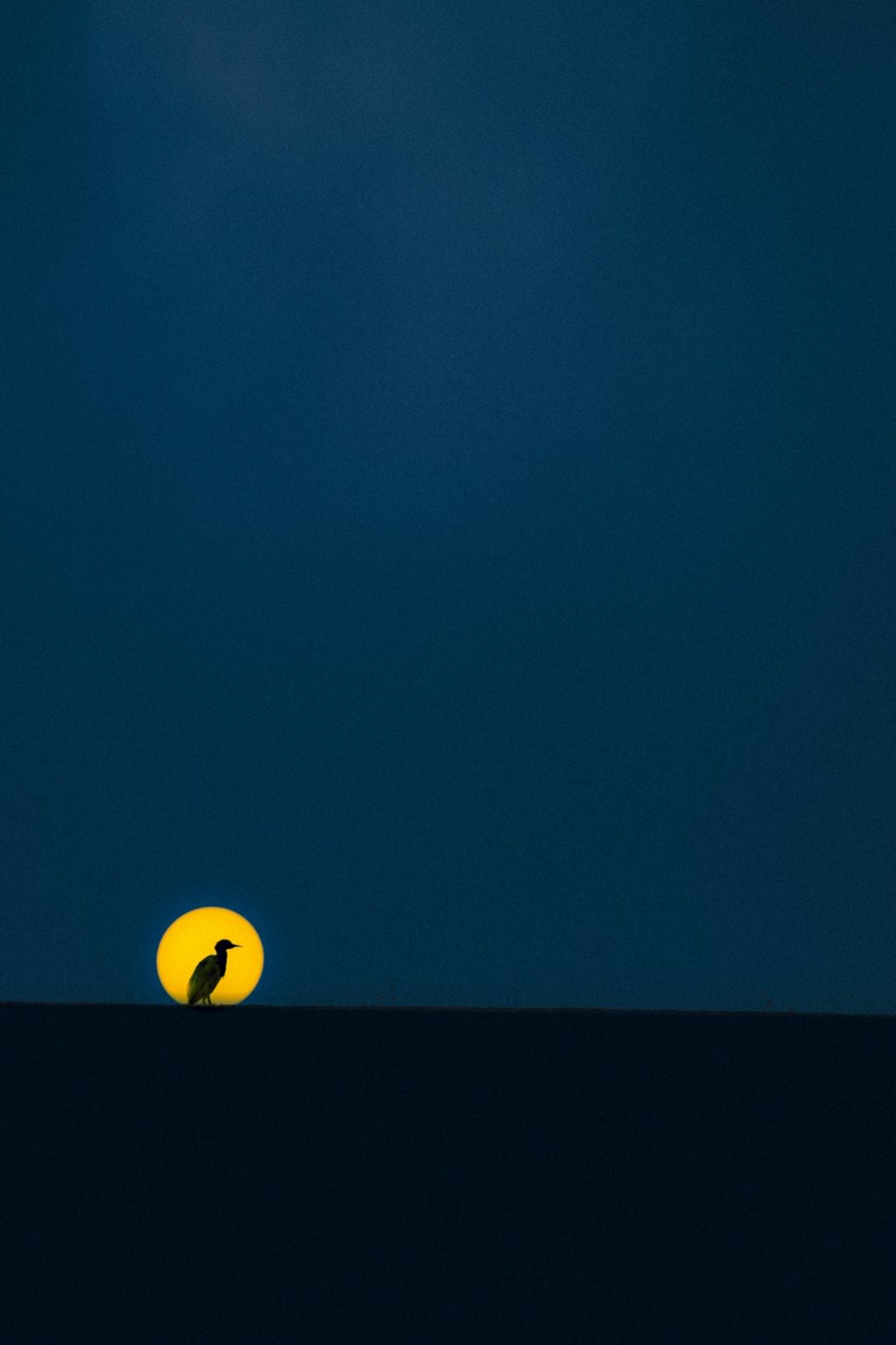 How To Reset Microsoft Authenticator (A Complete Guide)