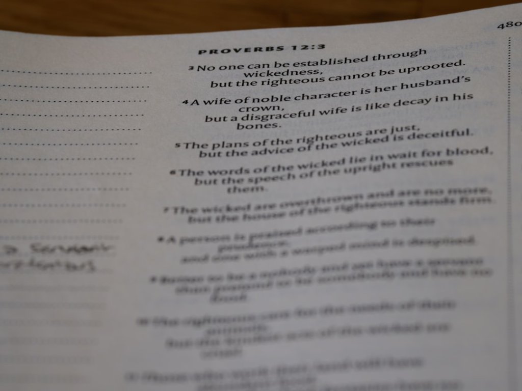 What Does “College Prep” Mean In The Common App?